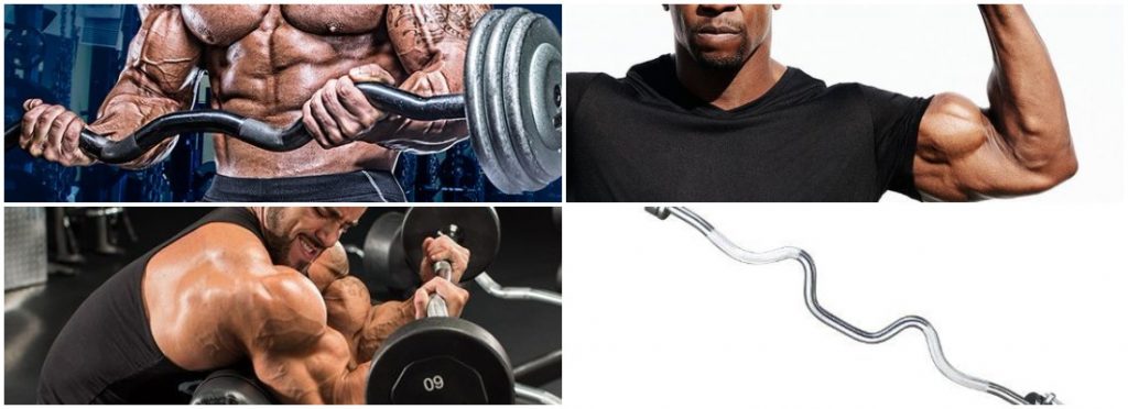 Sculpt Arms That'll Tear Your Shirt Sleeve's | Asort